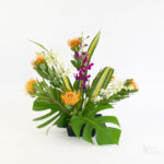 Makamae ‘Precious’ Flower Assortment – Pincushions and Orchids – Not ...