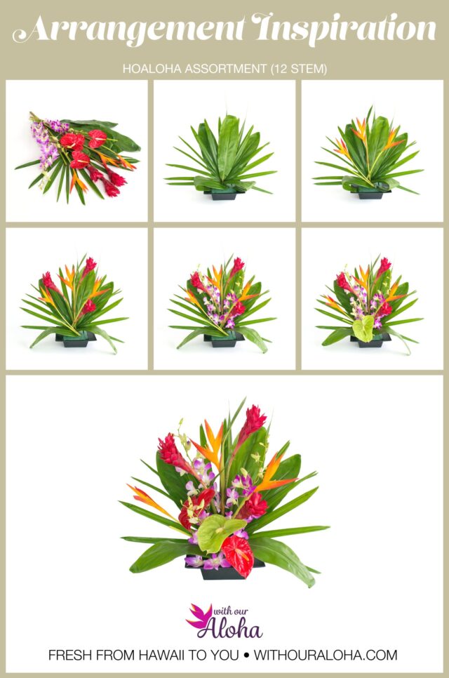 Tropical Flower Arrangement DIY: Hoaloha “Good Friend” Assortment ...