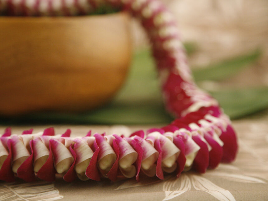 Lei Flowers: What Is Used to Create a Traditional Hawaiian Lei - With ...
